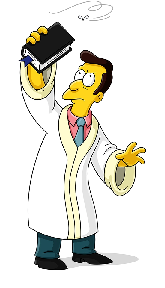 Kernwoorden België – Rijbewijs opleiding